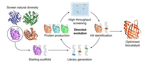 The Development Roadmap Of Enzyme Rational Design Nature The Path To