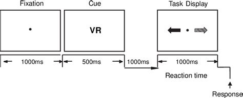 The Schematic Display Sequence Of Stimuli In Experiment 1 Each Display