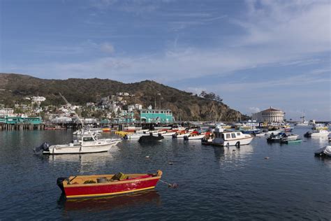 무료 이미지 연안 물 대양 계선 보트 휴가 차량 풍경화 바다 경치 미국 만 섬 선착장 포트 캘리포니아 옥외 항해의 주유 채널 혈관