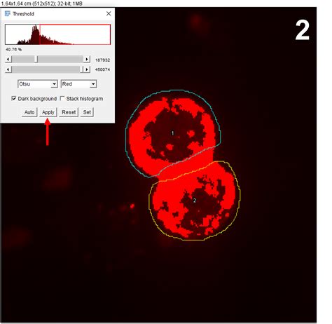 Creating False Positive Signal When Thresholding Image Analysis
