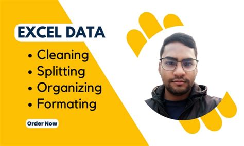 provide expert cleaning organizing and formatting for your excel and