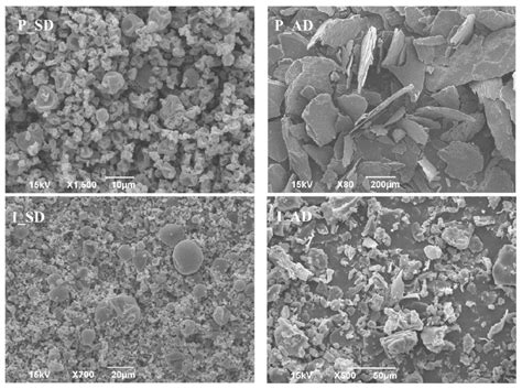 Analysis Of Swelling And Dissolution Dynamics Of Xanthan Gum Excipient