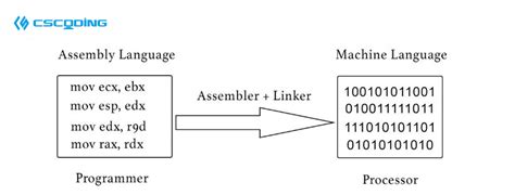 Assembly Language Assignment Help