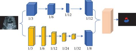 Double Network Echocardiography Segmentation Model Download Scientific Diagram