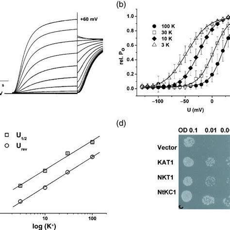 Cell Cycle Progression Determined By Lsc Analysis Aphidicolin Download Scientific Diagram