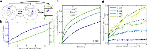 Dynamics Of Cargo Encounter With Carrier Organelles A A Schematic