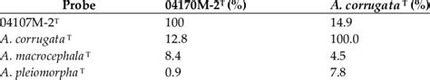Dna Hybridization Rate Among Species Of Acrocarpospora Download