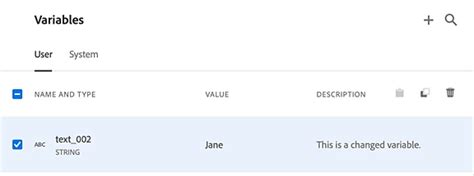 Variables In Adobe Captivate Types Creation And Implementation