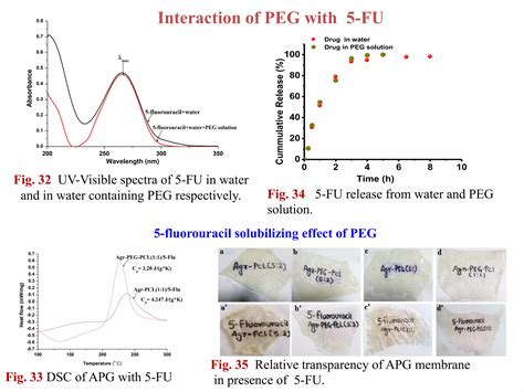 Design And Synthesis Of Polysaccharidescopolymers Based Amphiphilic Conetwork Gels For