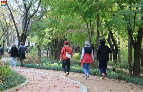 황톳길부터 지압길까지 맨발로 걷기 좋은 방학동 발바닥공원 민트리온 라이프