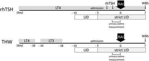 Influence Of Levothyroxine With Recombinant Human Thyroid Stimulating Hormone On Urinary Iodine