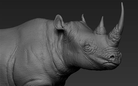 Artstation Rhino Resources