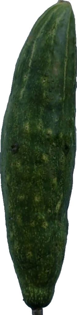 Fruits Object Detection Dataset By Mz Workspace