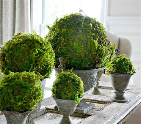 20 Diy Moss Decor Ideas For Spring You Should Grow