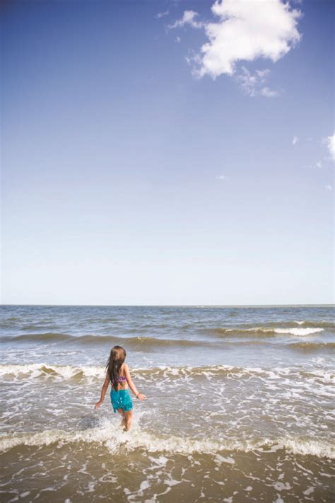 Jekyll By The Numbers • Jekyll Island Georgia • Vacation Conservation And Education Destination