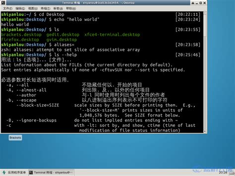 Linux系统命令 蓝桥云课