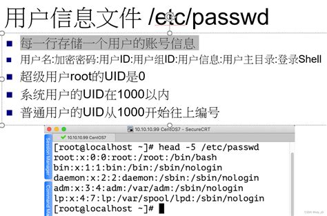 【linux】期末复习scau实验整理实验期末版精简版解释time Dgram Csdn博客 【linux】期末复习scau实验整理实验期末版精简版解释time Dgram Csdn博客