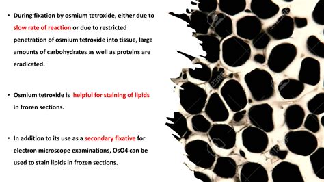Fixatives Used In Tissue Processing Histopath Techniques Pptx