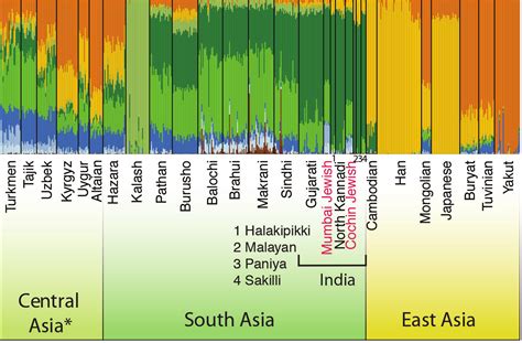 Admixture Plots