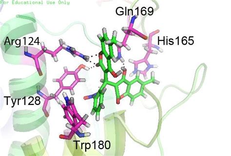 Binding Mode Of Compound 18 In The Active Site Of The Enzyme Download Scientific Diagram