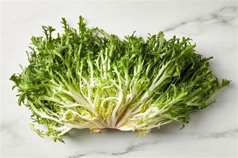 Types Of Lettuce And Salad Greens A Complete Guide