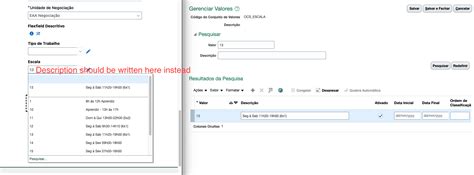 descriptive flexfield shows description instead of values — cloud