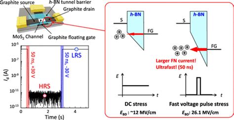 Ultrafast Operation Of 2d Heterostructured Nonvolatile Memory Devices Provided By The Strong
