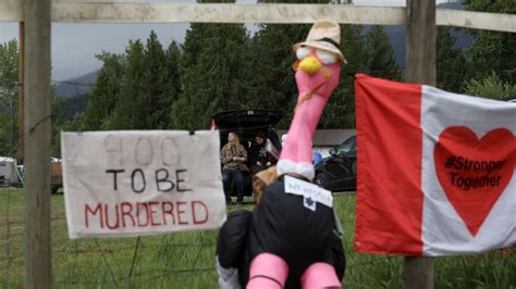 Why The Killing Of 300 Ostriches In Bc Gained Worldwide Attention
