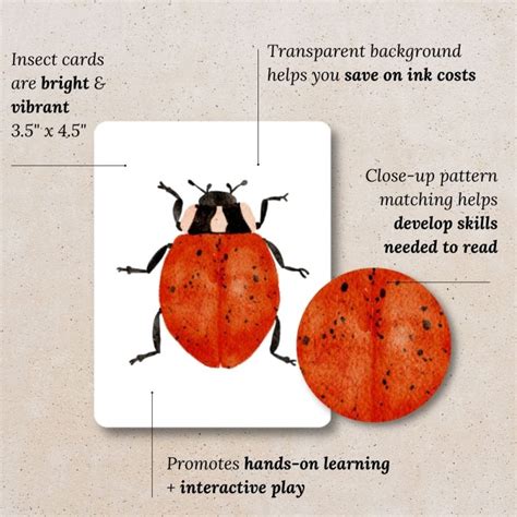 Bug Matching Game Printable Little Moon Paper Co