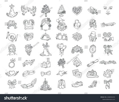 Collection Beautiful Thin Line Style Vector Stock Vector Royalty Free