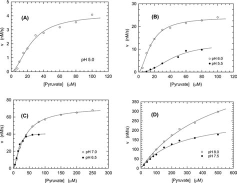 Kinetics Of Pyruvate Reduction Catalyzed By Recombinant Human Ldh A Download Scientific Diagram