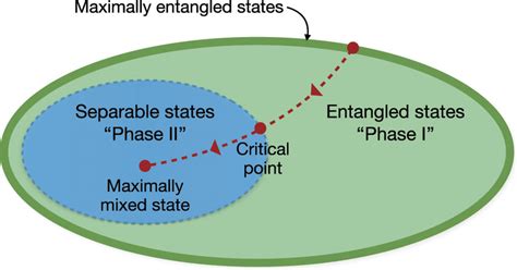 The Confusion Scheme For Learning Entanglement First We Construct A