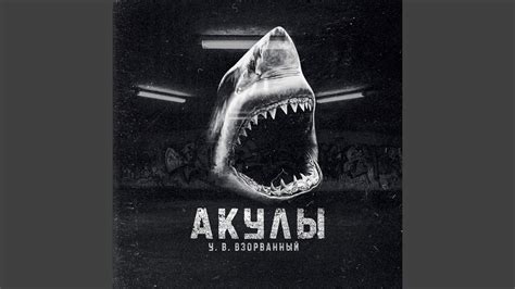 Акулы Youtube