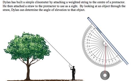 algebra precalculus determine the height of the tree mathematics