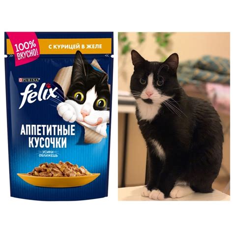 Создать мем "корм для кошек феликс, феликс корм для кошек влажный ...