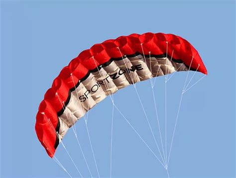 Воздушный змей купить на Ozon по низкой цене 2466118979