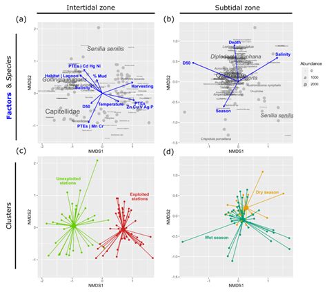 nmds ordination of untransformed macrofaunal community data based on