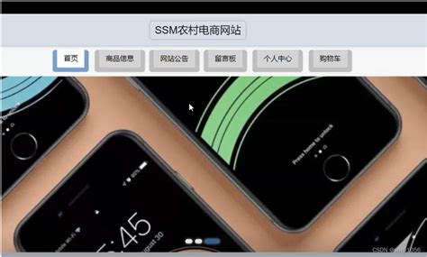 [附源码]nodejs计算机毕业设计农村电商网站express 程序 lw csdn博客