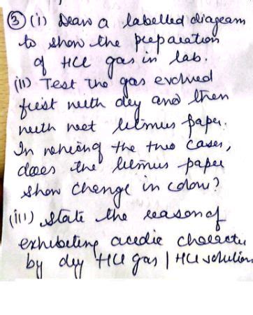 I Draw A Labelled Diagram To Show The StudyX