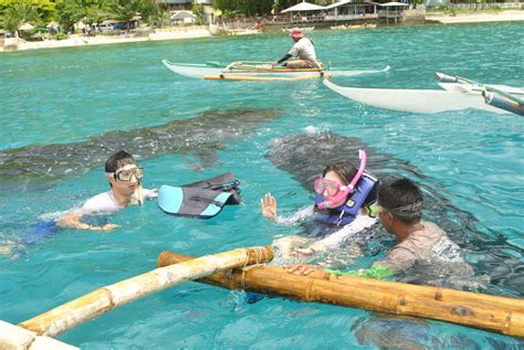 보홀데이투어 대신 다녀온 세부 오슬롭 고래상어투어 세부시티투어세부골프여행세부고래상어투어세부마지막날세부골프투어세부자유여행오슬롭고래상어투어세부해양스포츠 보홀데이투어 대신 다녀온 세부 오슬롭 고래상어투어 세부시티투어세부골프여행세부고래상어투어세부마지막날세부골프투어세부자유여행오슬롭고래상어투어세부해양스포츠