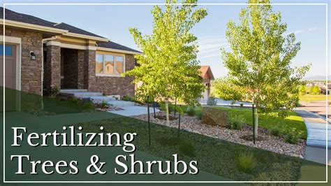 How And When To Fertilize Trees And Shrubs Spring Fertilizing Fertilizing Trees And Shrubs