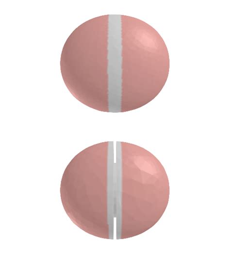 24 Comparison Of Folding Processes Of The Complete Ellipsoid Above Download Scientific