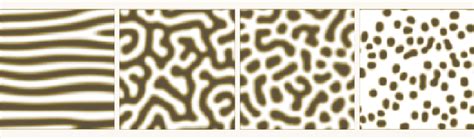 6 Turing Patterns Generated By Simulating Turings Reaction Diffusion