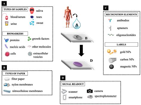 Colorimetric Paper Based Sensors Against Cancer Biomarkers
