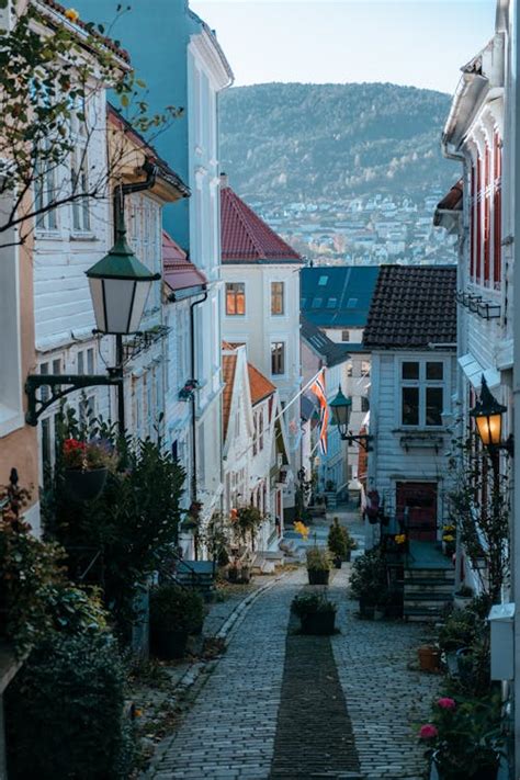 집 밖의 가로등 가로등 기둥 가을 거리 건축 경치 경치가 좋은 구시가지 그림 같은 기와 지붕 기이 한 꽃이 피는 나뭇잎 낮 다채로운 도시 풍경