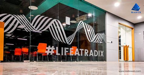 careers and culture radixweb insights