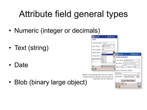 Unit Iii Gis Data Structures 1ppt