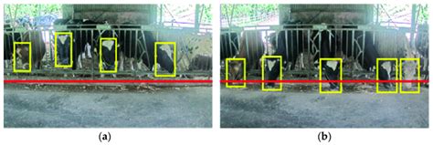 Example Of Feeding Behavior Detection A Example Of Non Feeding Download Scientific Diagram
