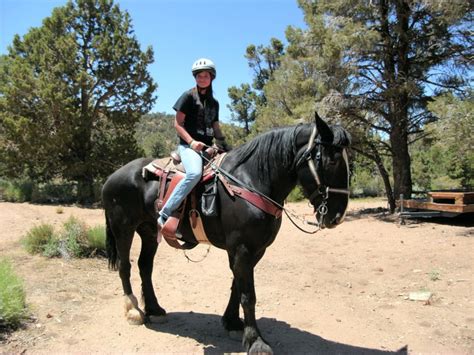 Horseback Riding In Big Bear Destination Big Bear