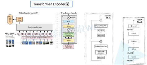 Vision Transformer Vit的原理讲解与后续革新【附上pytorch的代码！】 Csdn博客